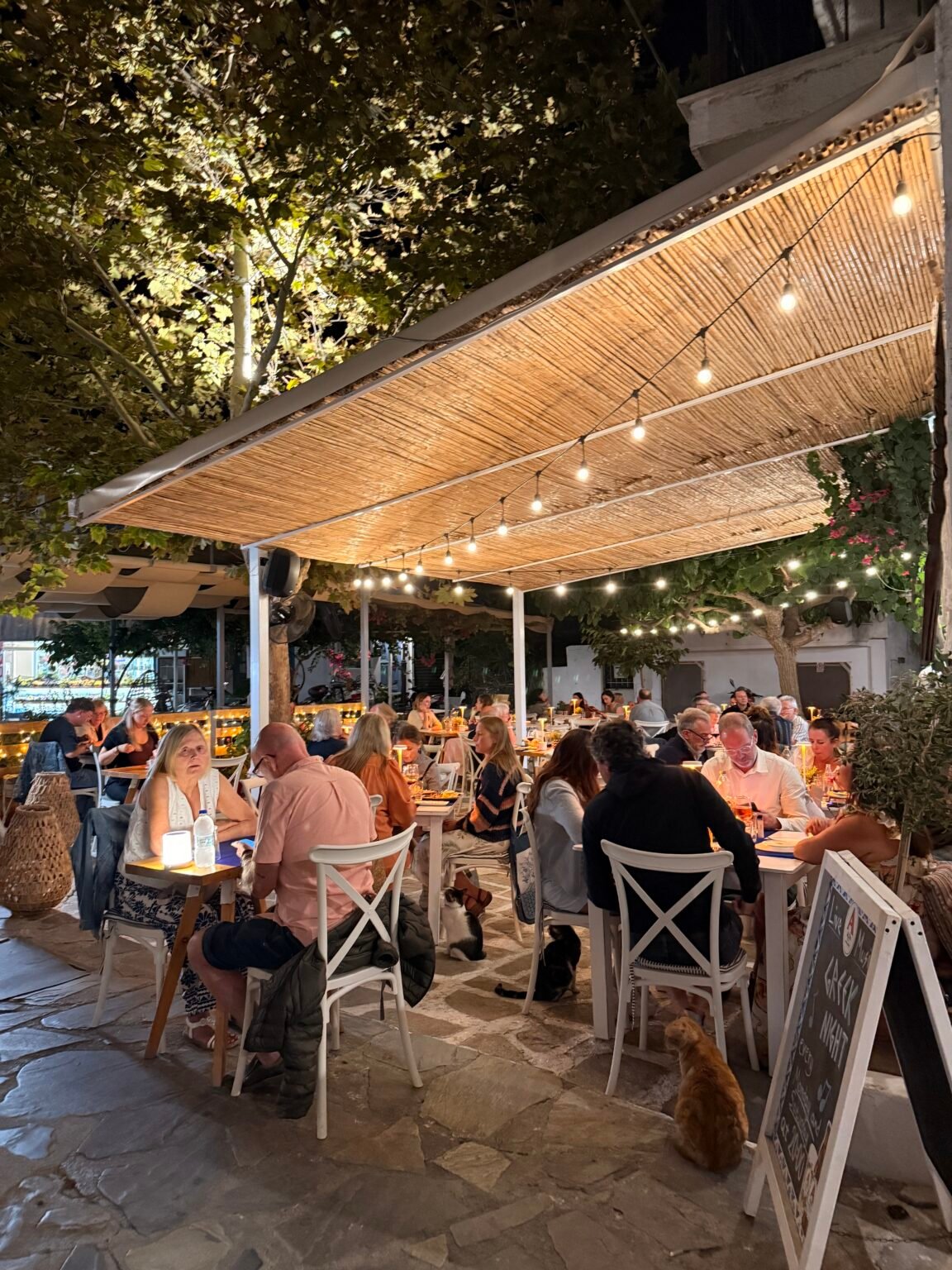 Cuva Greek Cuisine Skiathos | Restaurant in Skiathos Town | Cuva ...